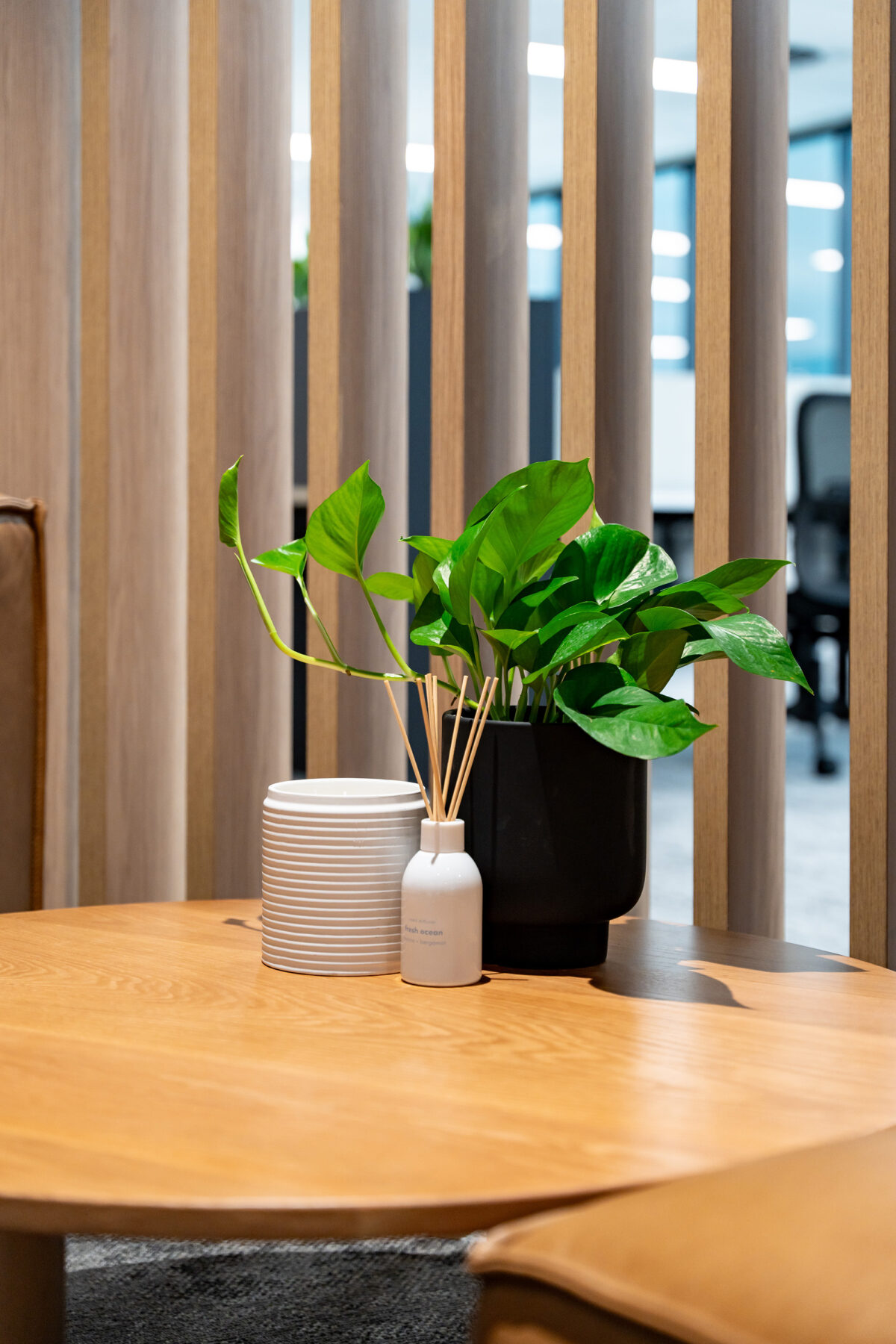 Speculative Suite – Queen Street - OC Studio